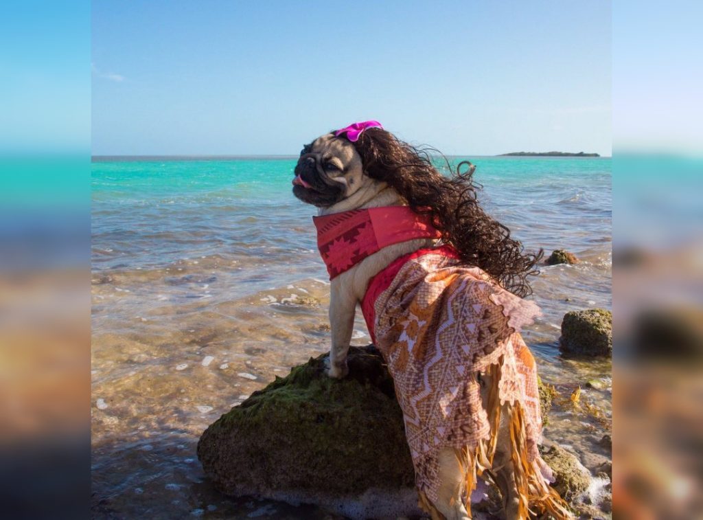 Laugh-Out-Loud: Funny Beach Photos That Will Make Your Day - Page 15 of ...