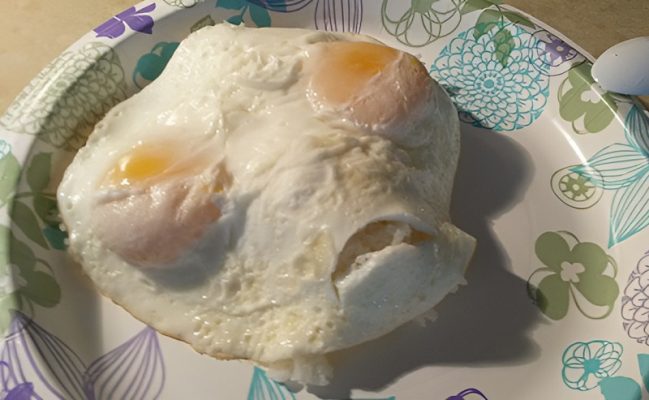 Fails in the Kitchen: Culinary Disasters Captured in Photos - PicLine