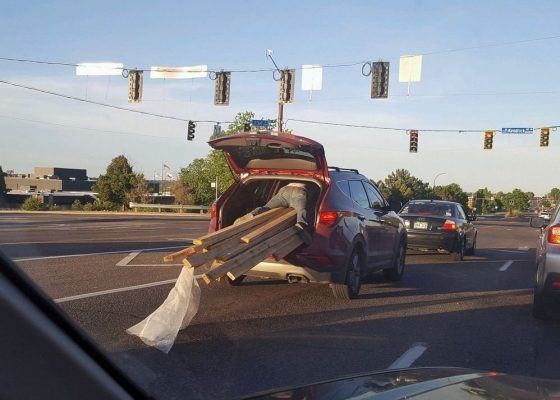 Highway Humor: When Road Trips Take a Funny Turn - PicLine