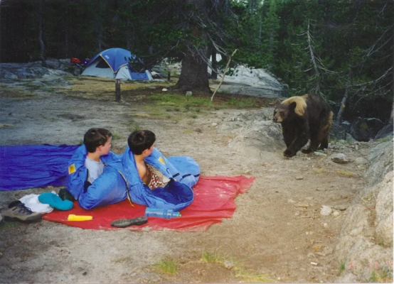Camping Catastrophes: Hilarious Mishaps from the Great Outdoors - Page ...